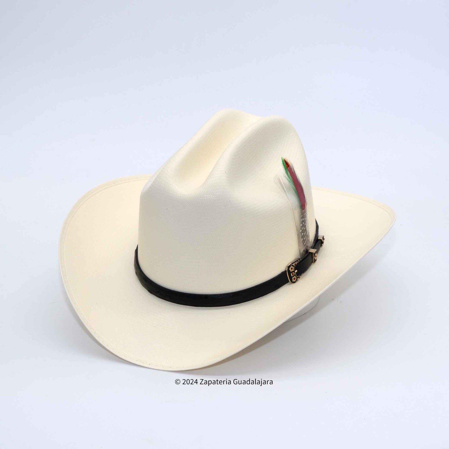 Cowboy Hats — Page 2 — Zapateria Guadalajara