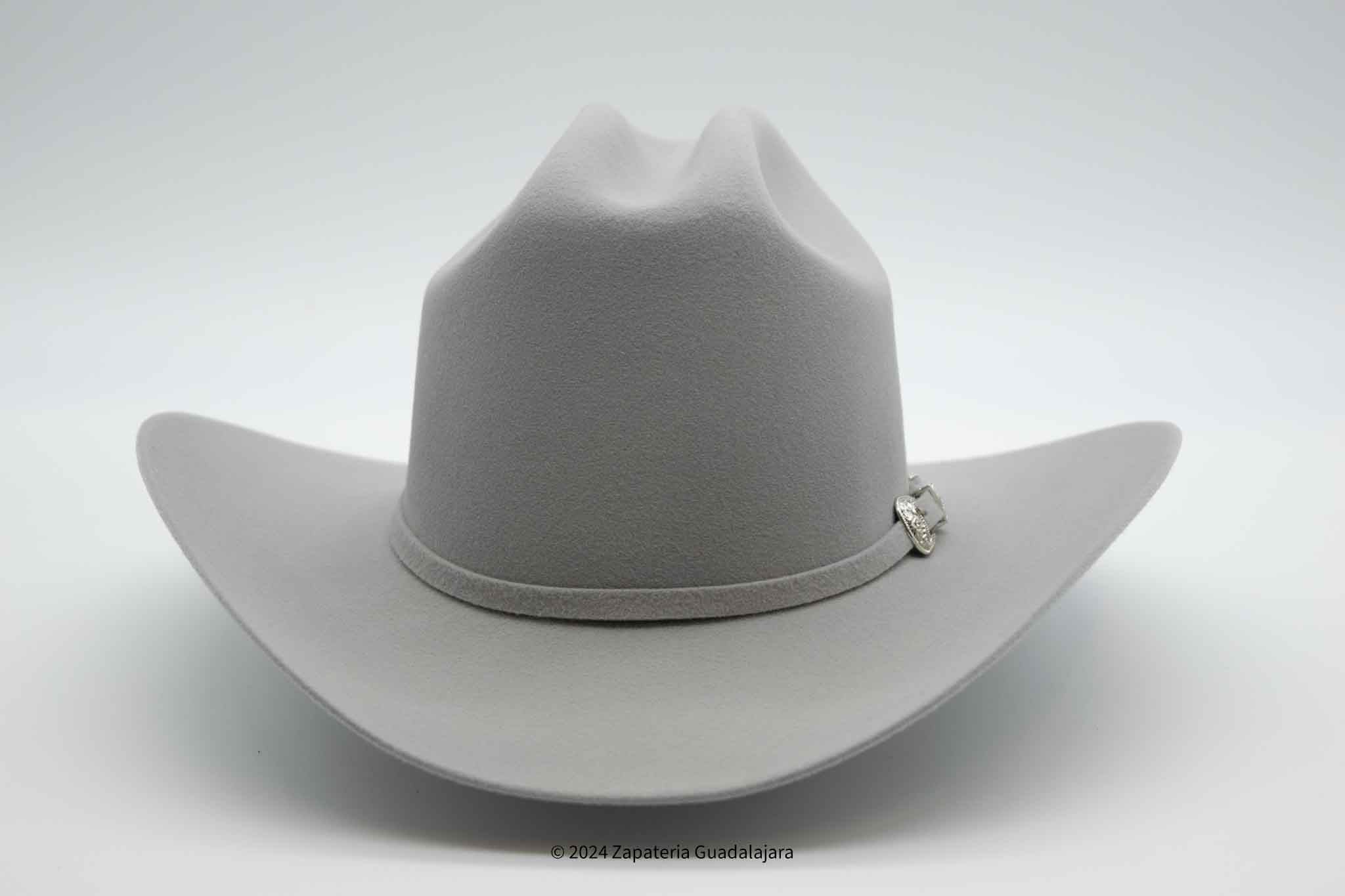 TENNESSEE 100X FELT COWBOY HAT JULION GREY PLATINUM | Genuine Leather ...
