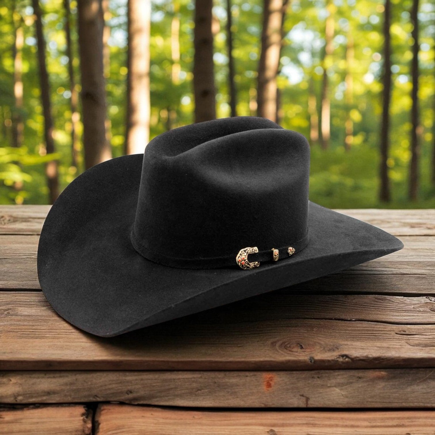 TOMBSTONE 50X ROPER BEAVER FUR BLACK HAT | Genuine Leather Cowboy Boots ...